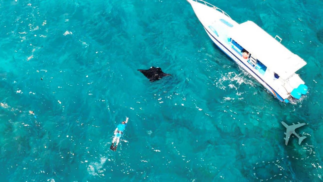Manta Ray Bay: Dive into an unforgettable underwater realm